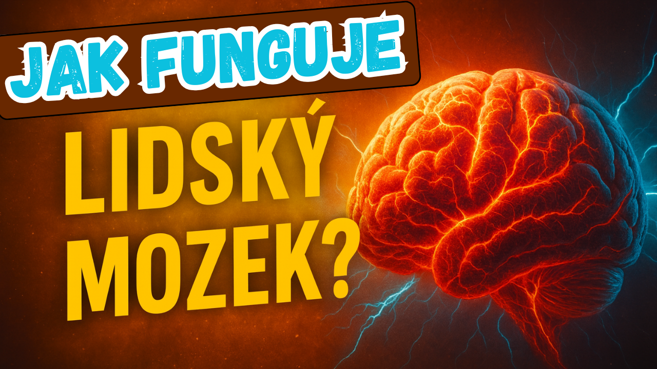 Jak funguje lidský mozek: Největší záhady mysli a vědomí | Stream